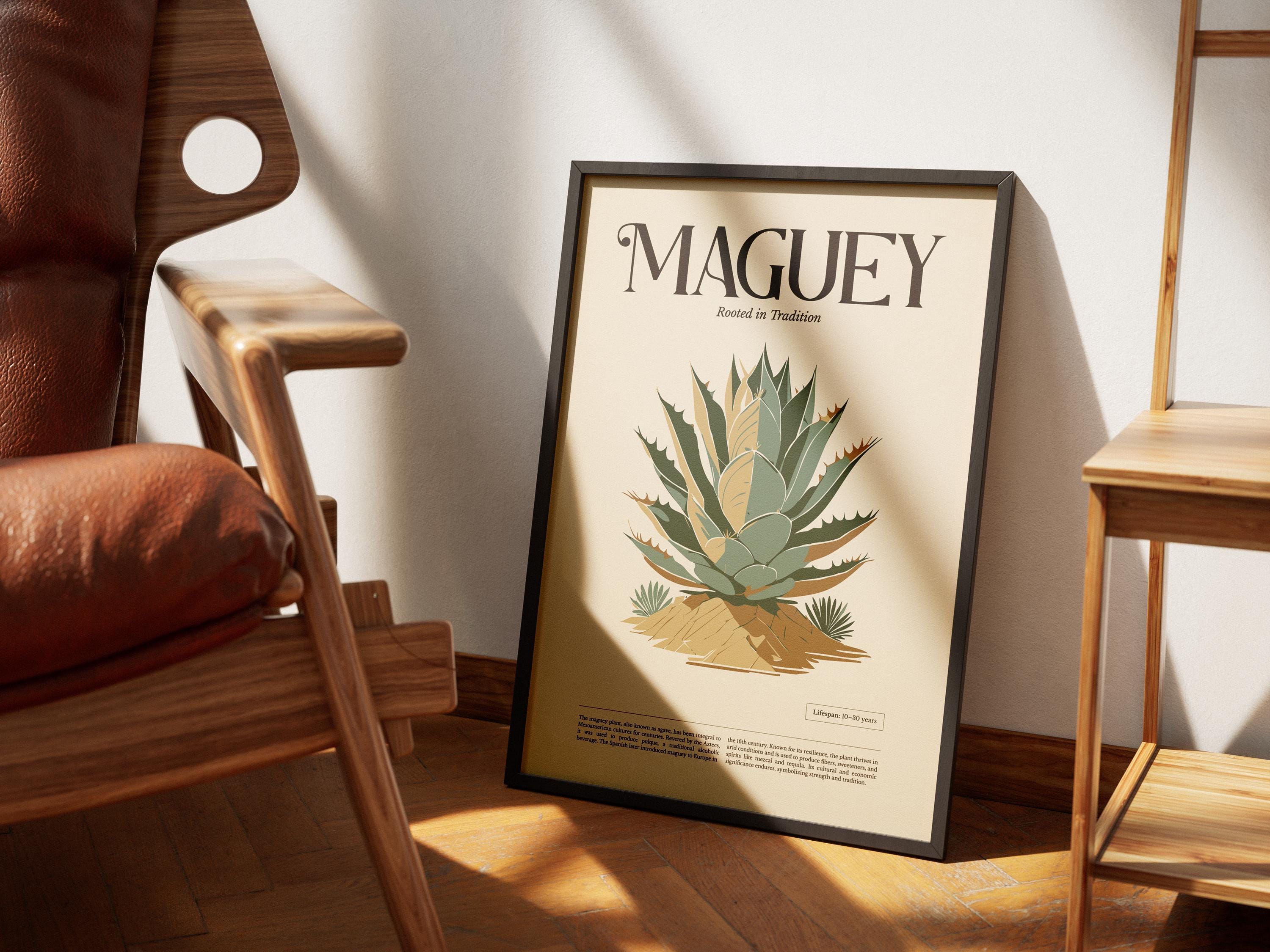 Maguey Wall Art Agave Print Mexican Cultural Decor Minimalist Vintage ...