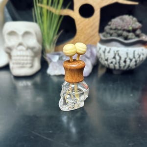 10ml Glass Skull Diffuser for Desk or Car Vent in Fall Scents. Reed ...
