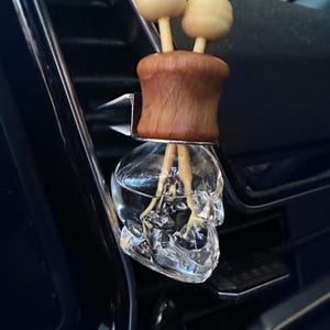 10ml Glass Skull Diffuser for Desk or Car Vent in Fall Scents. Reed ...
