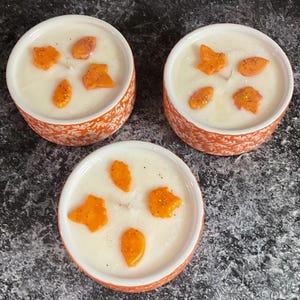 8oz Autumns Bounty Hand Poured Cotton Wick Soy Candle in Reusable Oven ...