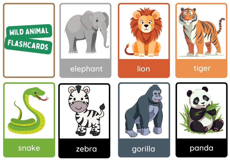 Wild Animal Flashcards Cartoon - Etsy