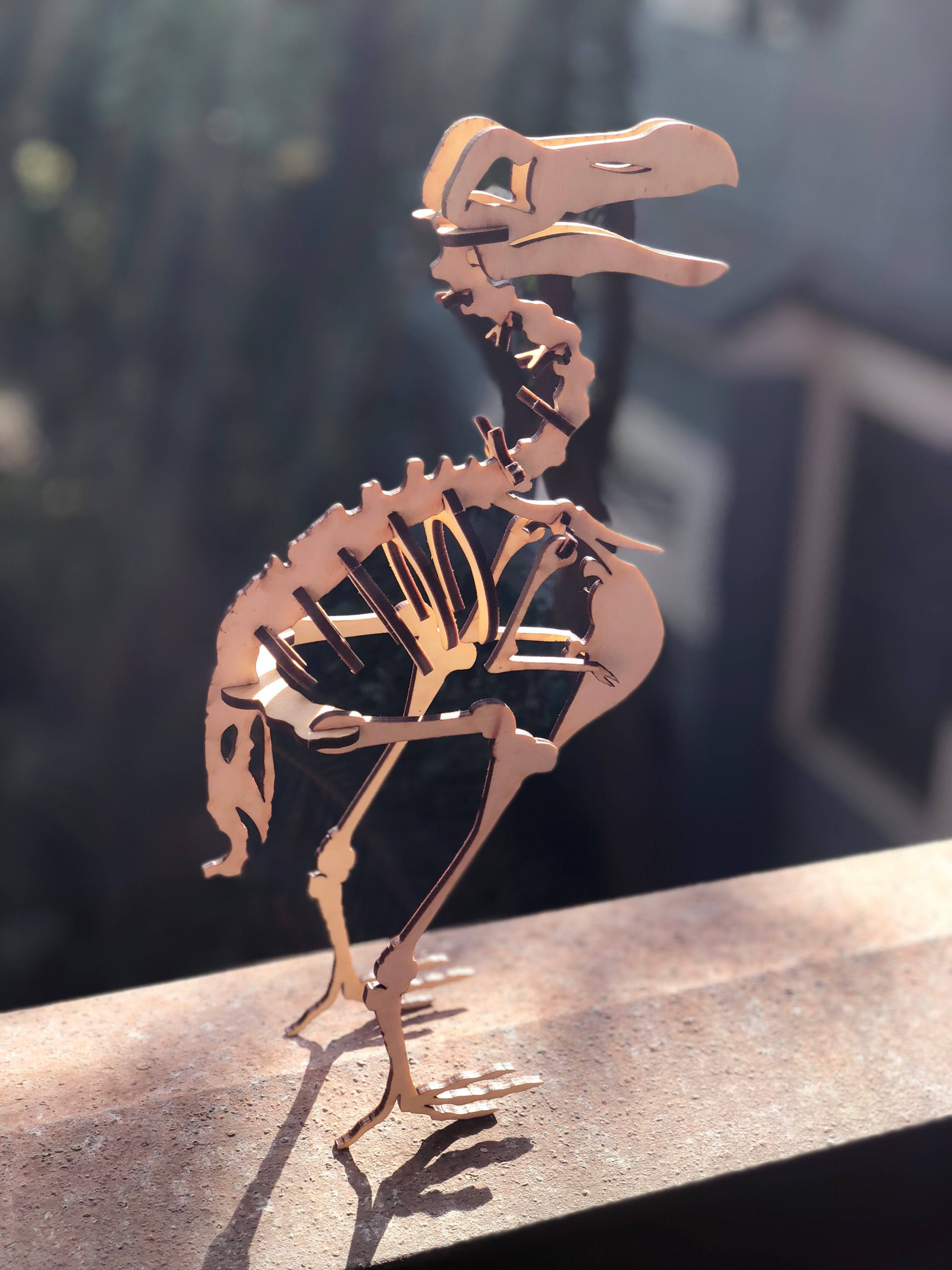 Dodo Bird Skeleton Birch Puzzle / Model - Laser-cut From 1/8" Baltic ...
