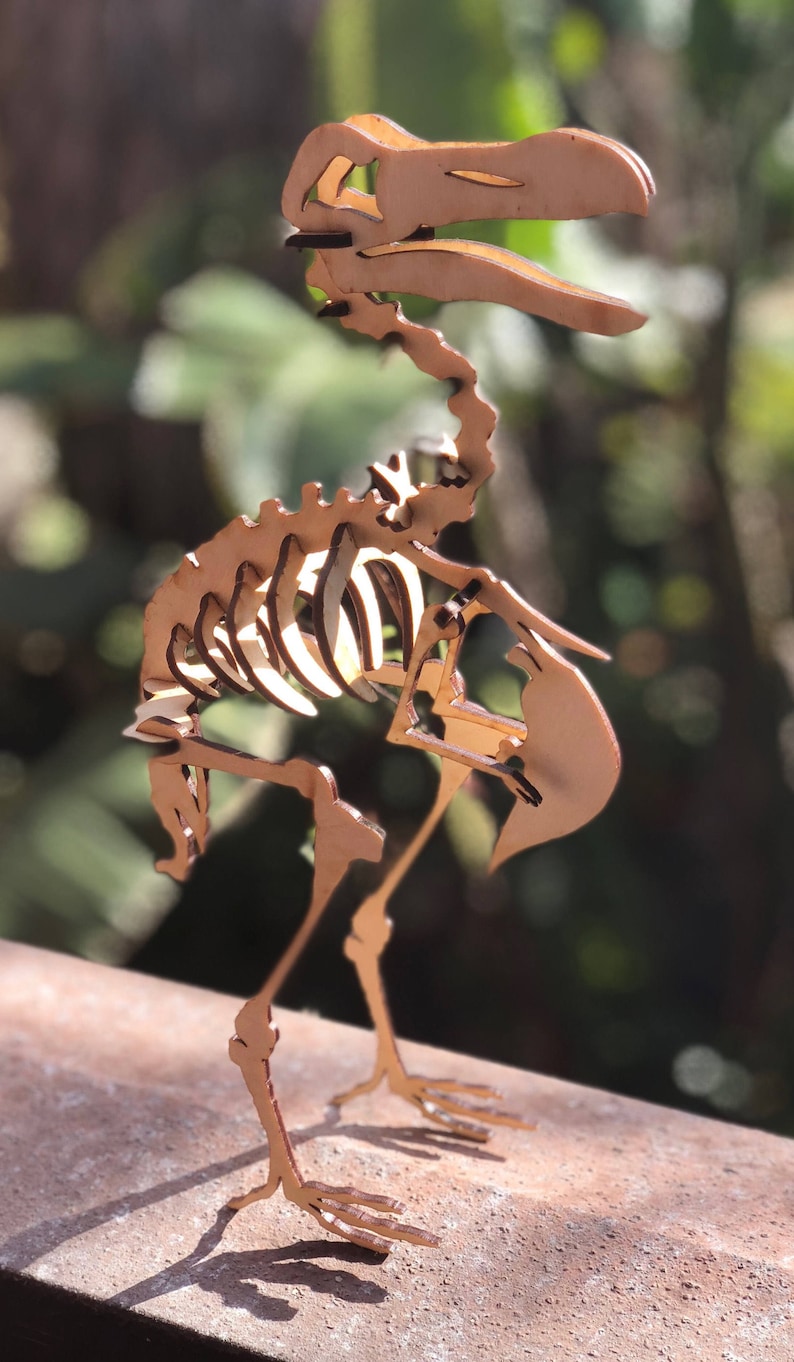 Dodo Bird Skeleton Birch Puzzle / Model - Laser-cut From 1/8" Baltic ...