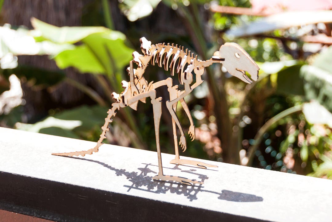 Kangaroo Skeleton Model / Puzzle - Laser-cut Baltic Birch - Etsy