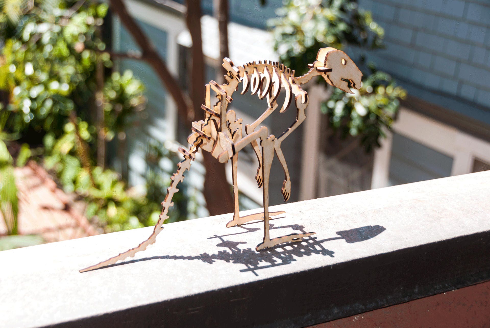 Kangaroo Skeleton Model / Puzzle - Laser-cut Baltic Birch - Etsy