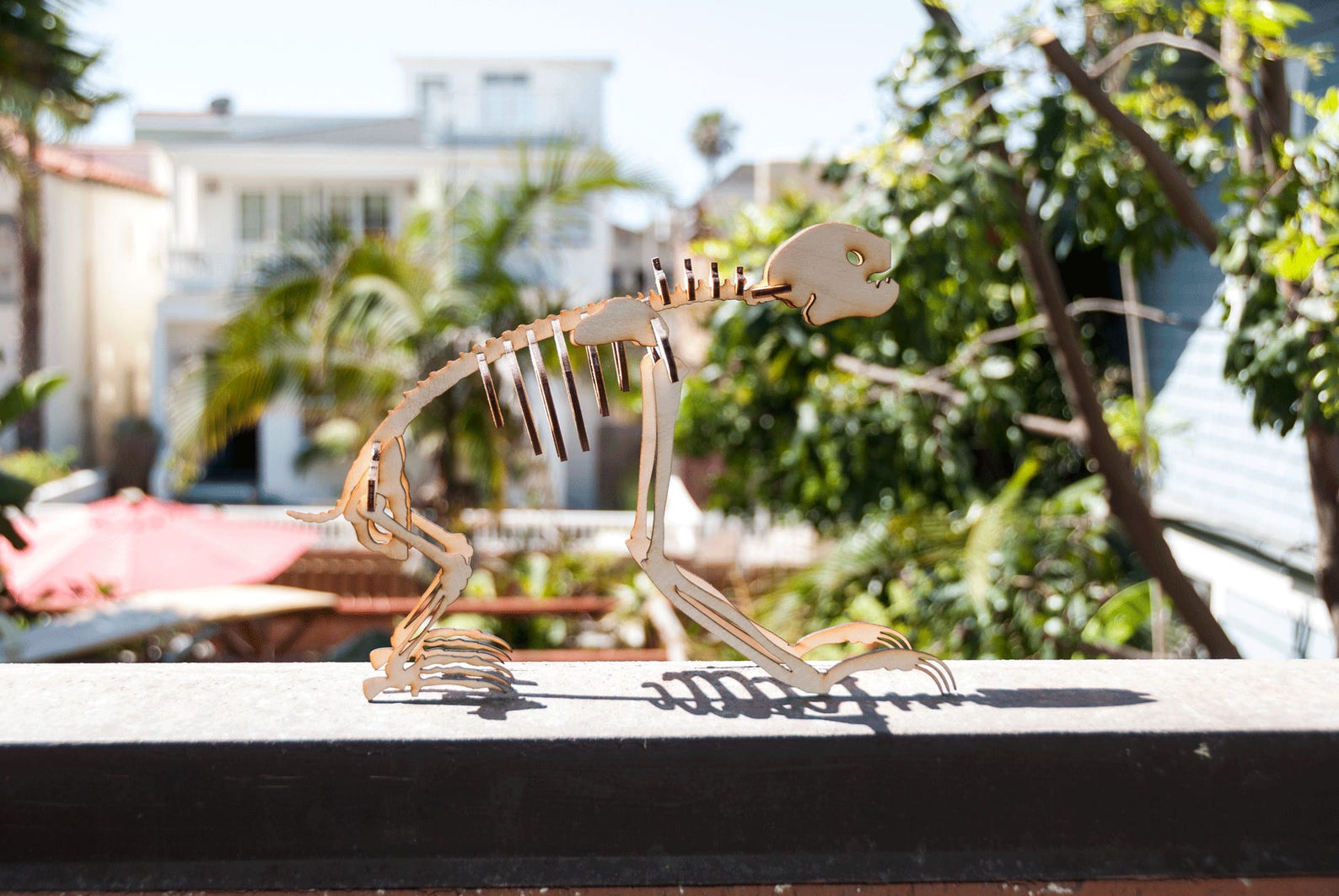 Three-toed Sloth Skeleton Model / Puzzle Laser-cut Baltic | Etsy