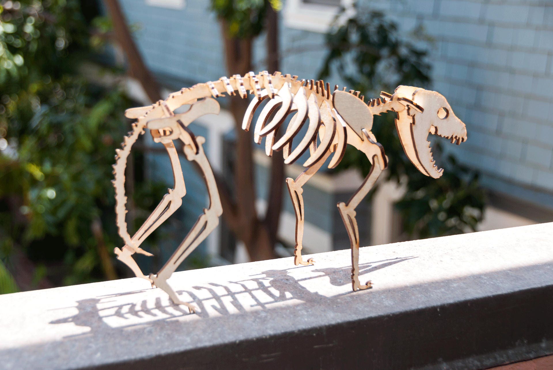 Tasmanian Tiger / Thylacine Skeleton Model / Puzzle | Etsy