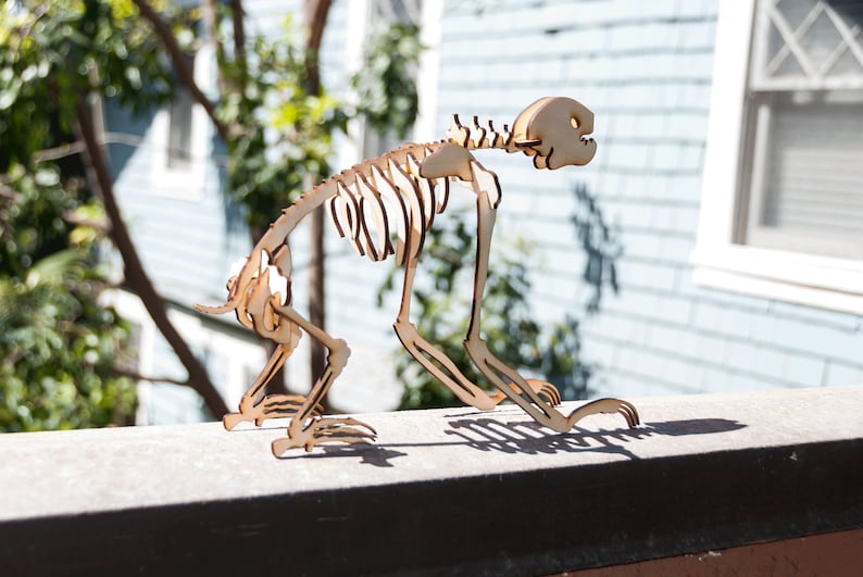 Three-toed Sloth Skeleton Model / Puzzle Laser-cut Baltic - Etsy