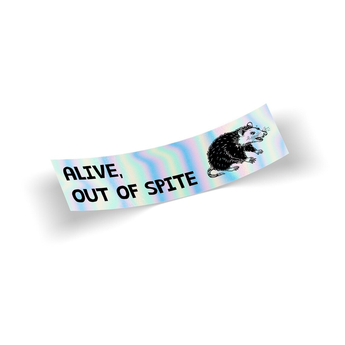 Alive Out of Spite, Bumper Sticker, Funny, Car Sticker, Magnet, Car ...