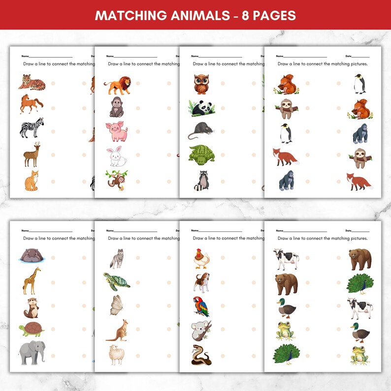 Toddler Matching Game Picture Worksheets Kindergarten Workbook ...