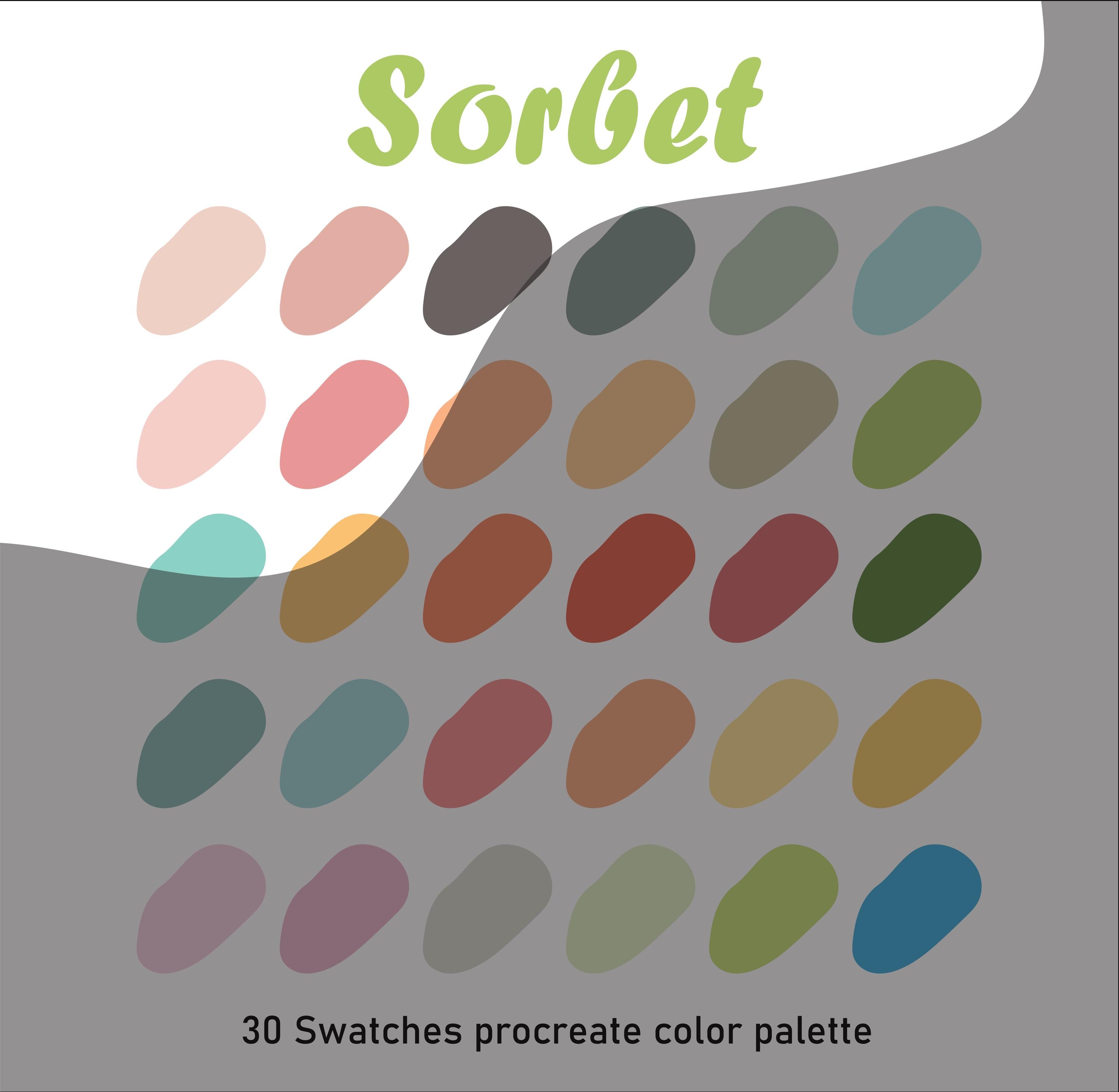 Sorbet Color Palette for Procreate/ Illustration/ Color Swatches - Etsy