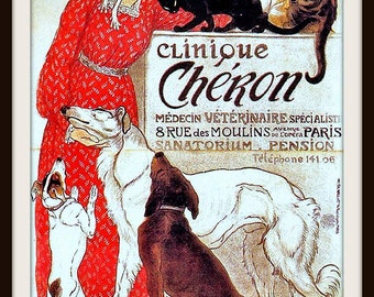 French Veterinary Poster - Etsy