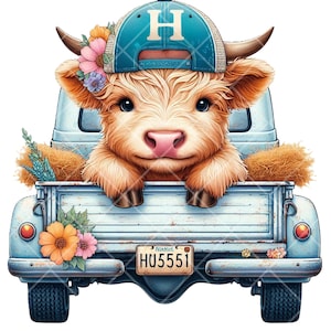 Highland Cow With Blue Baseball Cap Turned Backwards - Etsy