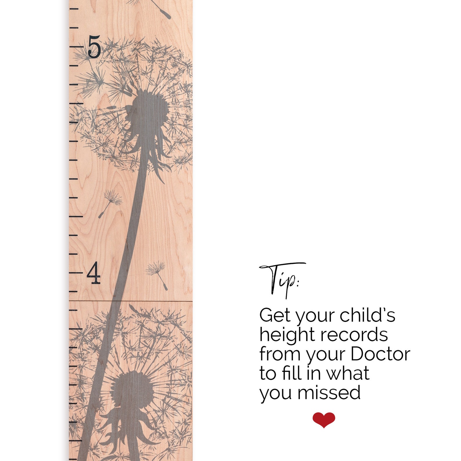 Dandelion Growth Chart | Kids Height Chart | Decorative | Neutral ...