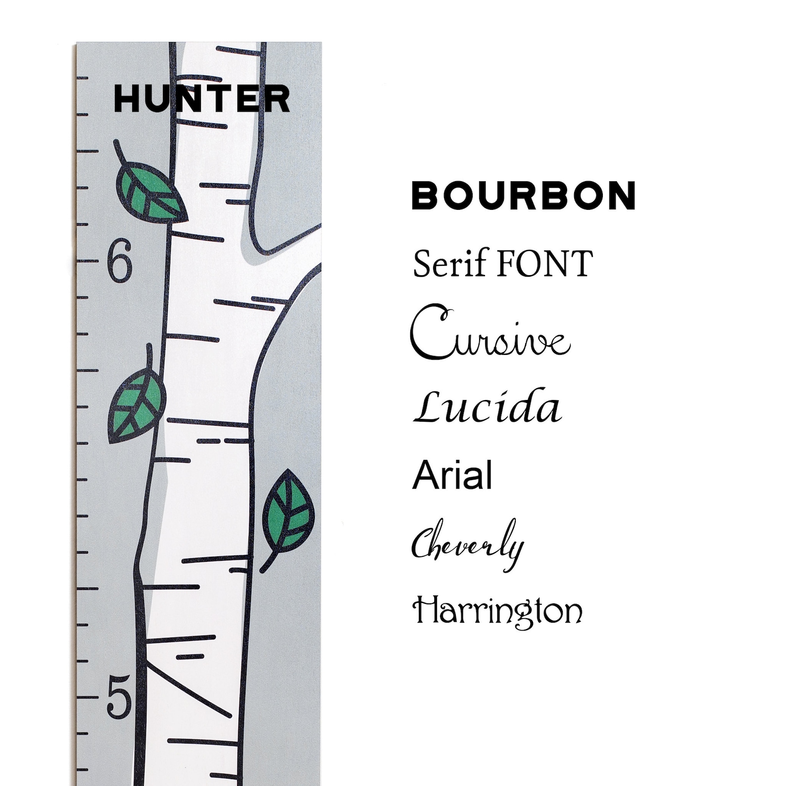 Birch Tree Growth Chart Wood Height Chart Fall Trees - Etsy