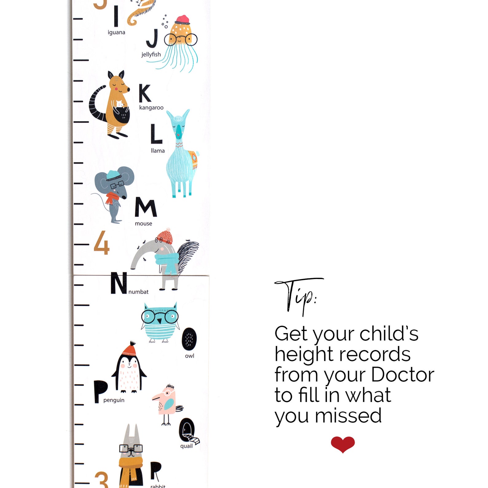 Alphabet Growth Chart / Wooden Height Chart for Boys & Girls / | Etsy