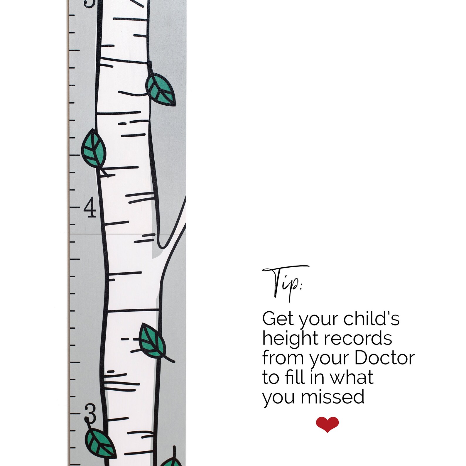 Birch Tree Growth Chart Wood Height Chart Fall Trees - Etsy