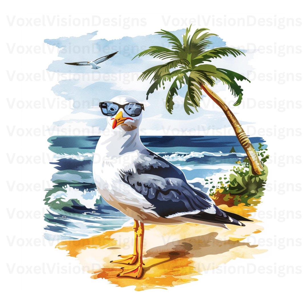 Funny Seagulls Clipart PNG Goofy Watercolor Gulls Silly Seagull Birds ...