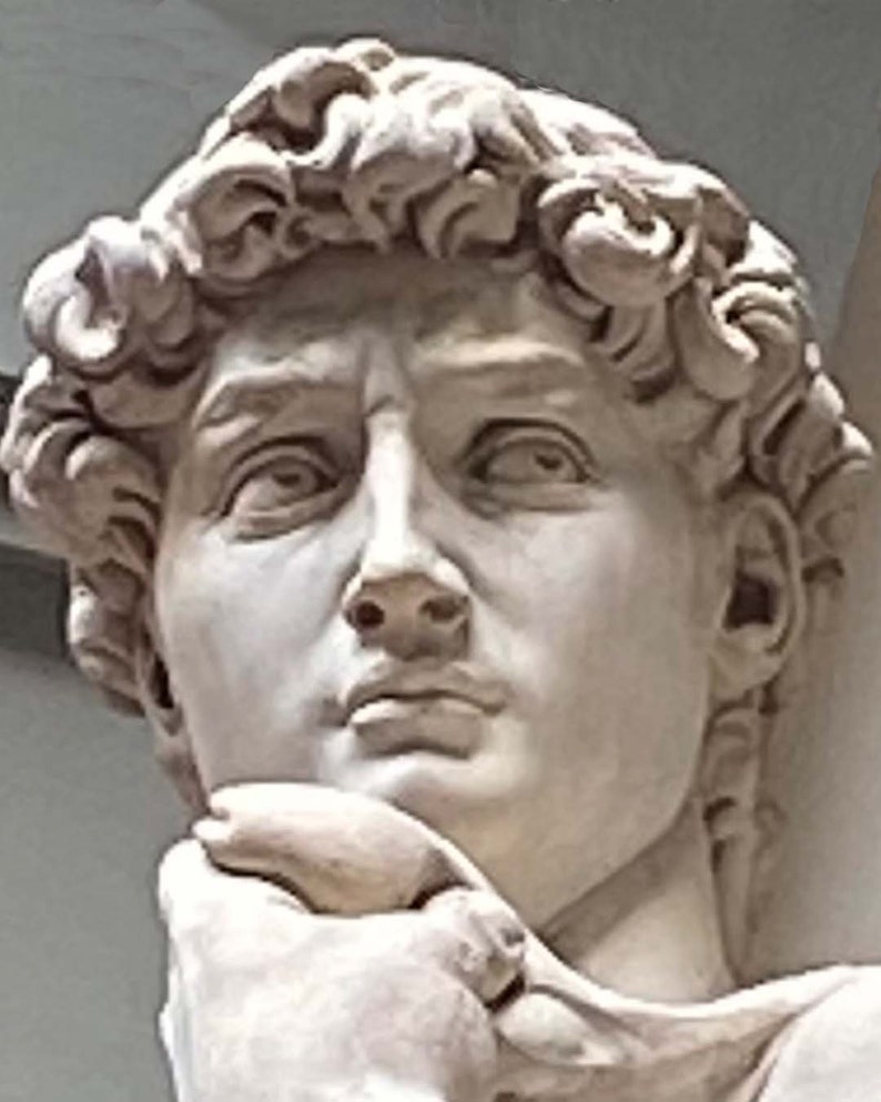 Poster of David, CU Face, Michelangelo, 1501-1504, From My Own Photo ...