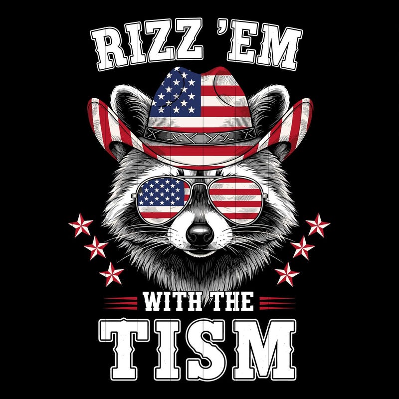 Rizz With Tism Hat - Etsy