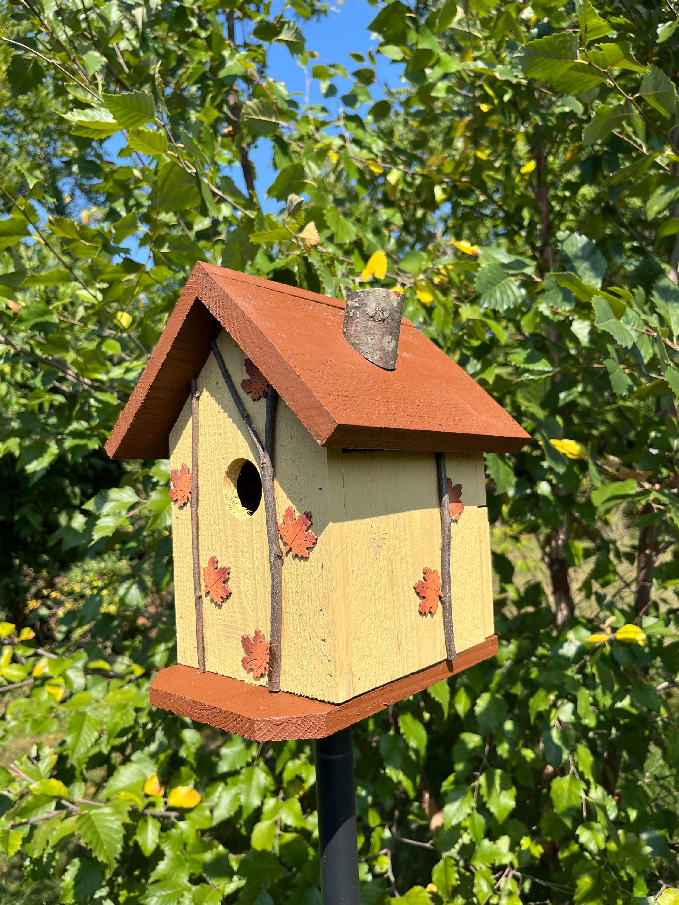 Rustic Outdoor Birdhouse With River Birch Branches and Painted Wood ...