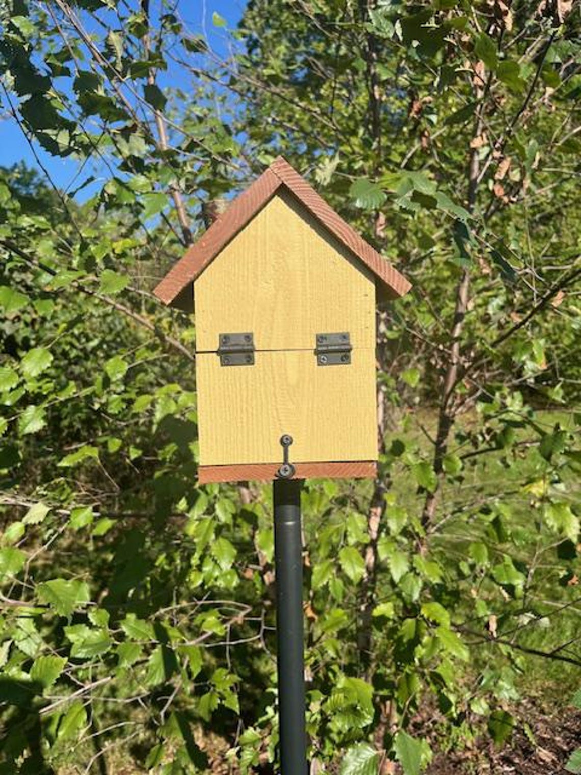 Rustic Outdoor Birdhouse With River Birch Branches and Painted Wood ...