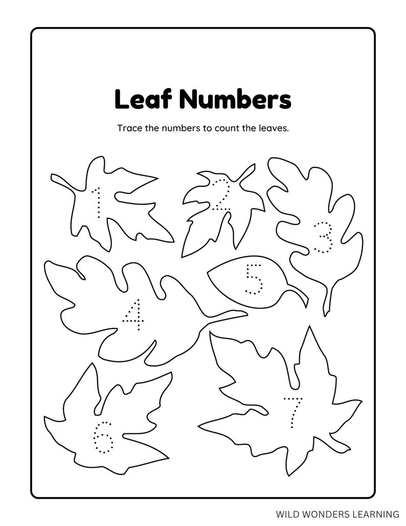 Fall Preschool Activity Pack - Etsy