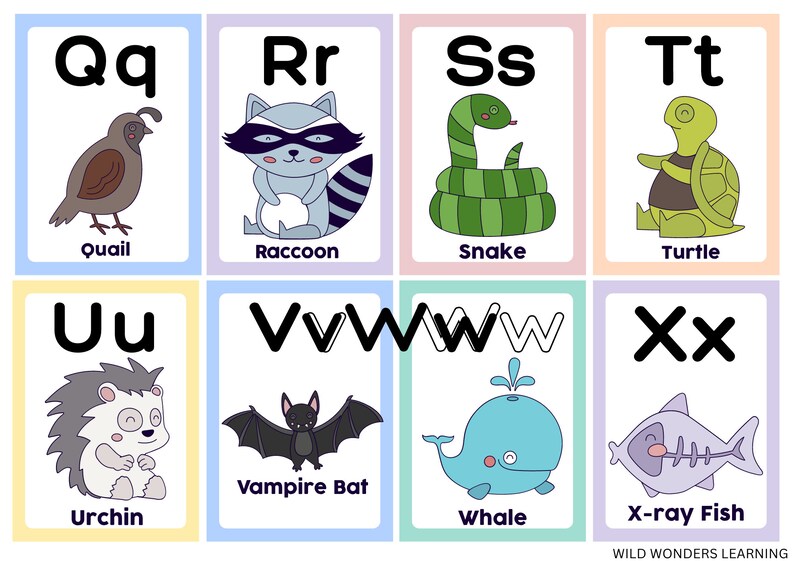 Animal Alphabet Flashcards - Etsy