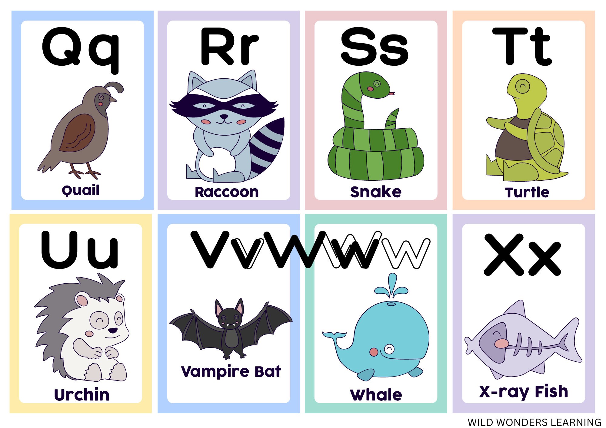 Animal Alphabet Flashcards - Etsy