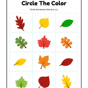 Fall Preschool Activity Pack - Etsy