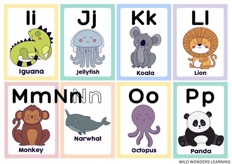 Animal Alphabet Flashcards - Etsy