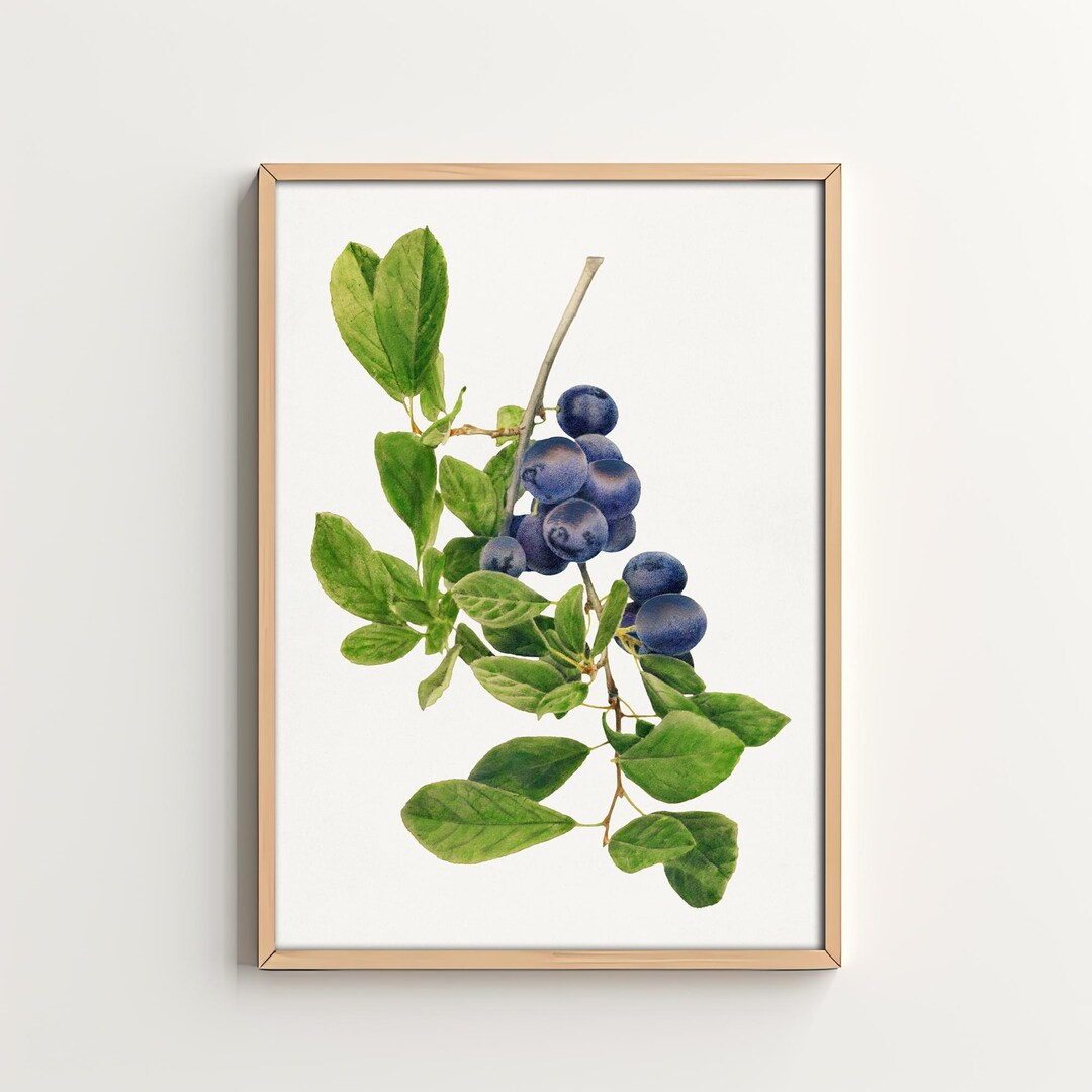 Kitchen Art Print Blueberries Fruit Wall Art Kitchen Decor Printable ...