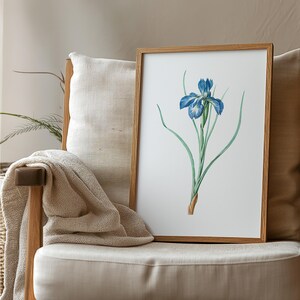 Blue Wildflower Art Print Vintage Botanical Print Floral Wall Art ...