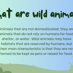 Learn Wild Animals for Kids and Students Presentation pptx, Pdf and Mp4 ...