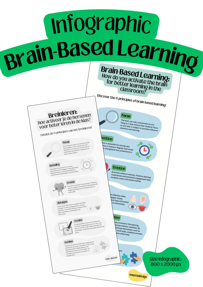 The 6 Principles of Brain-based Learning (infographic) - Etsy