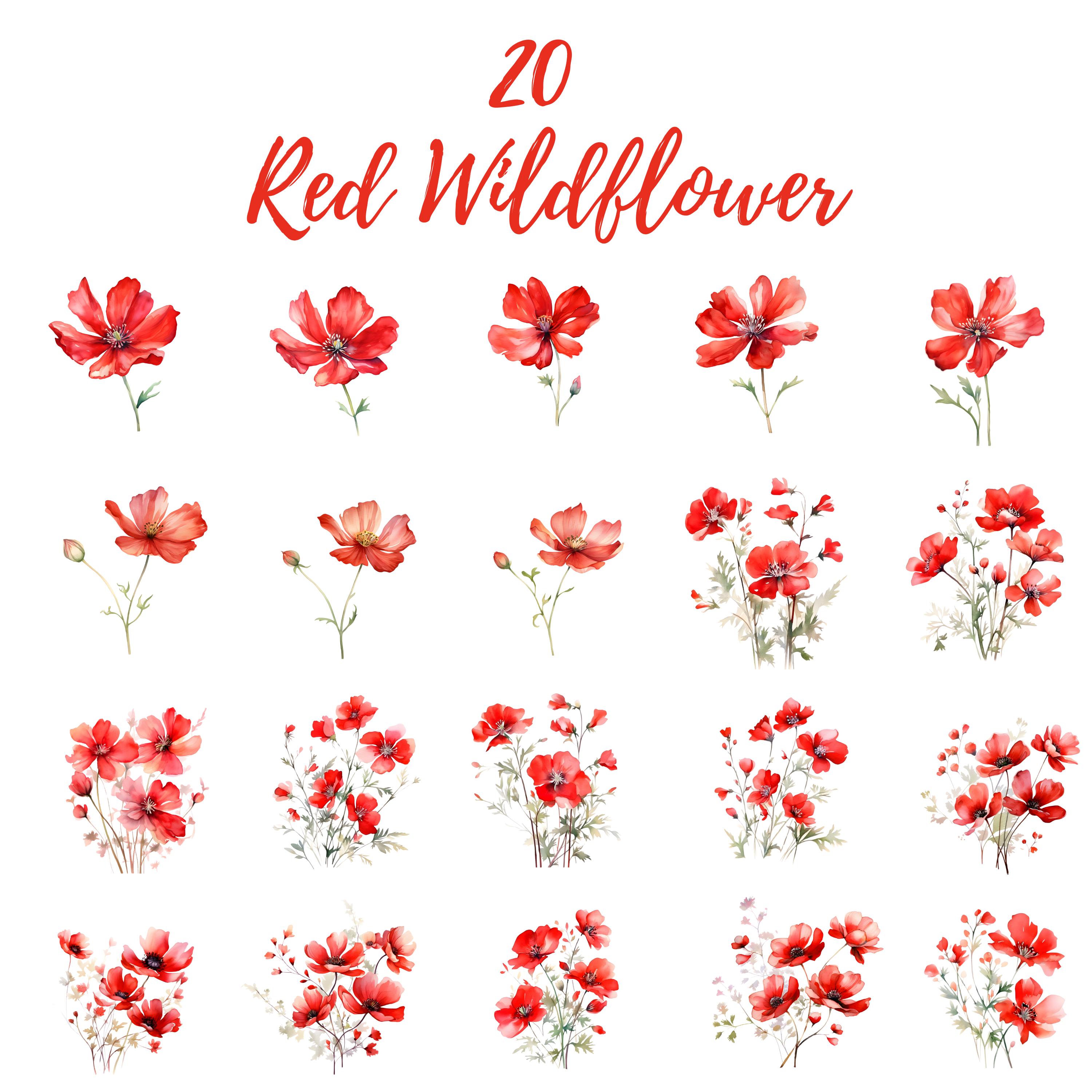 Red Watercolor Wildflower Clipart,red Floral Clipart,red Floral ...