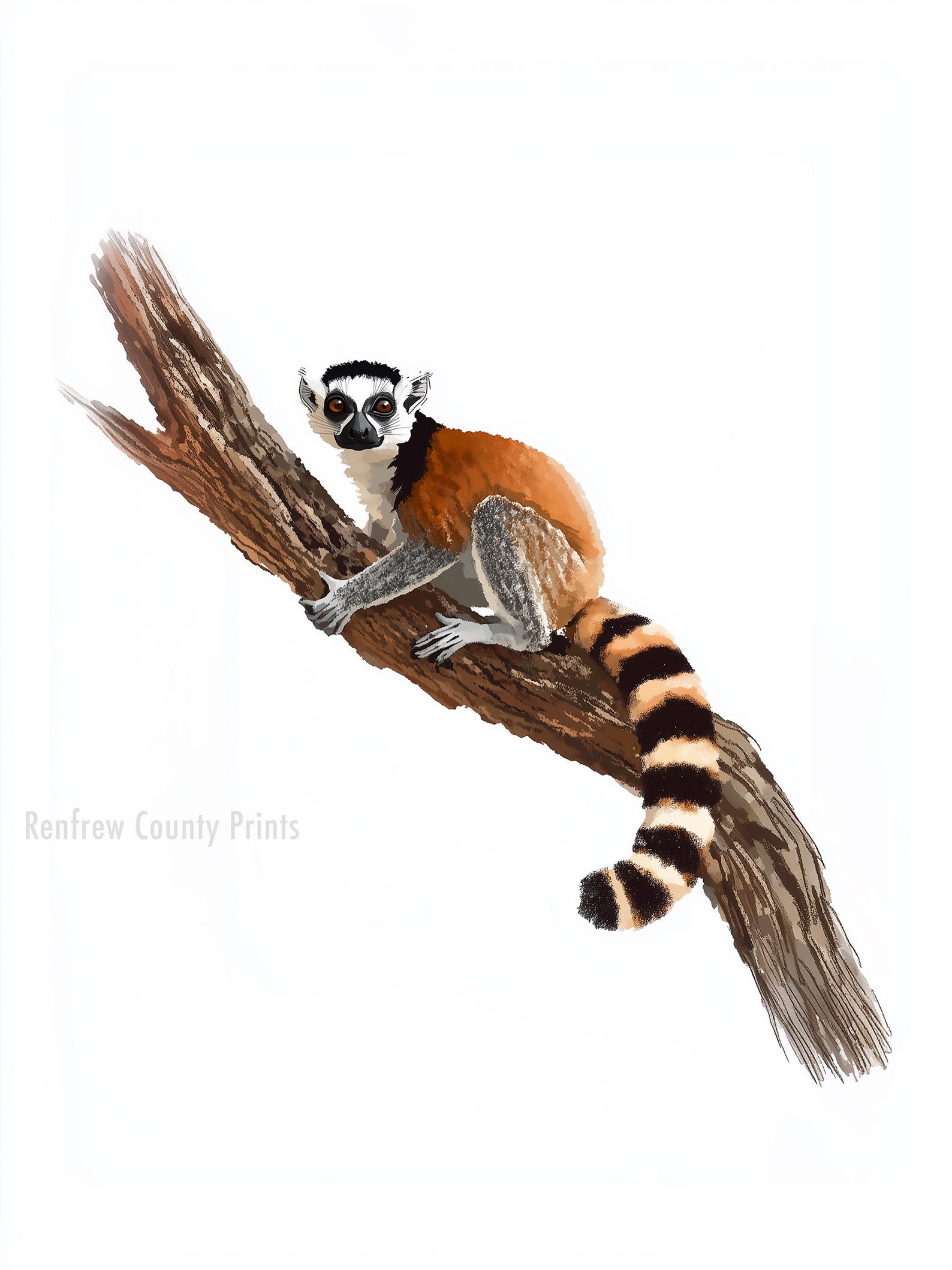 Vibrant Watercolour Lemur Art Print | Exotic Wildlife Wall Decor ...