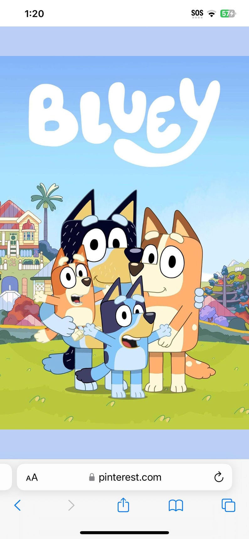 Bluey DIY 5D Full Round Drill Diamond Painting - Etsy