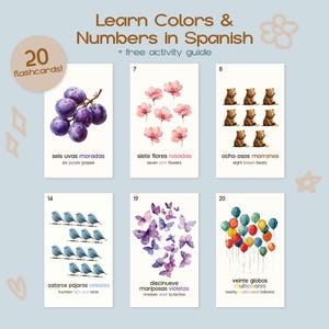 Spanish Numbers + Colors Flashcards | Bilingual Flash Cards | Learn ...