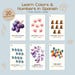 Spanish Numbers + Colors Flashcards | Bilingual Flash Cards | Learn ...