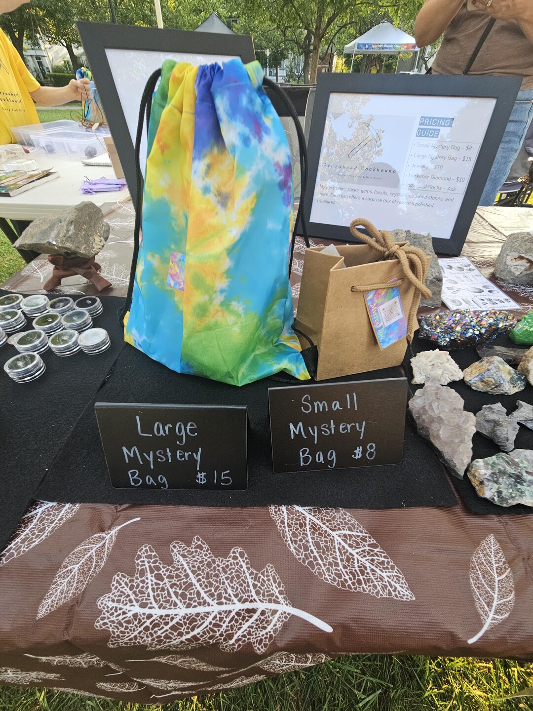 Mystery Bag: Rocks, Gems, Fossils, Crystals, Polished Stones, and More ...
