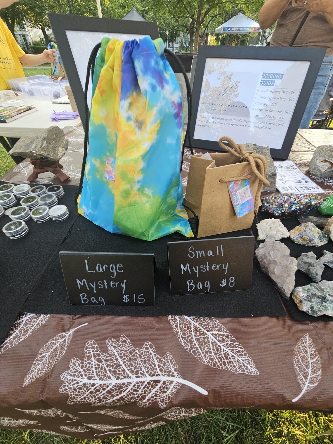 Mystery Bag: Rocks, Gems, Fossils, Crystals, Polished Stones, and More ...