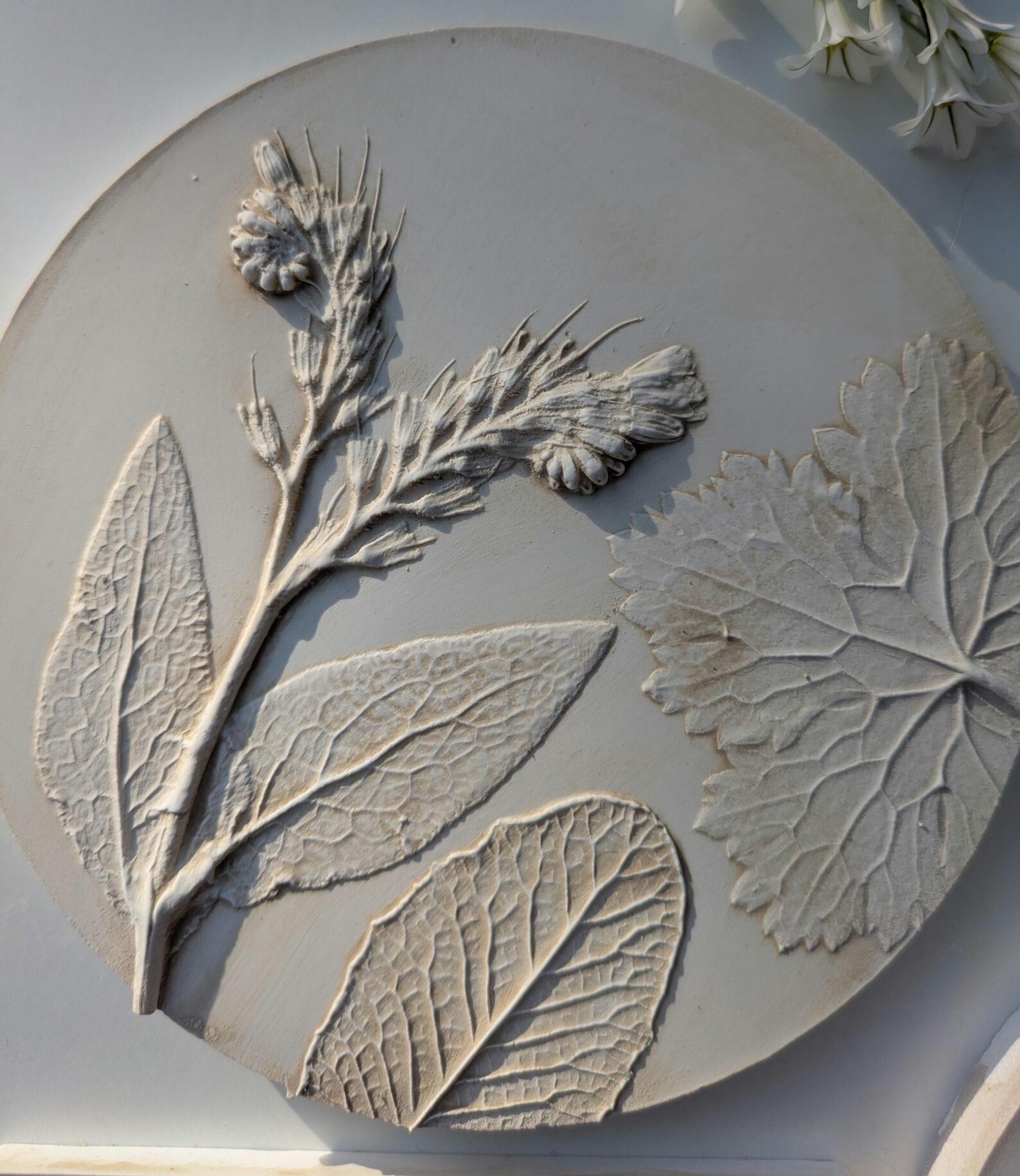 Cornish Botanical Plaster Tile, Comfrey, Primrose, Geranium Leaf Tile ...