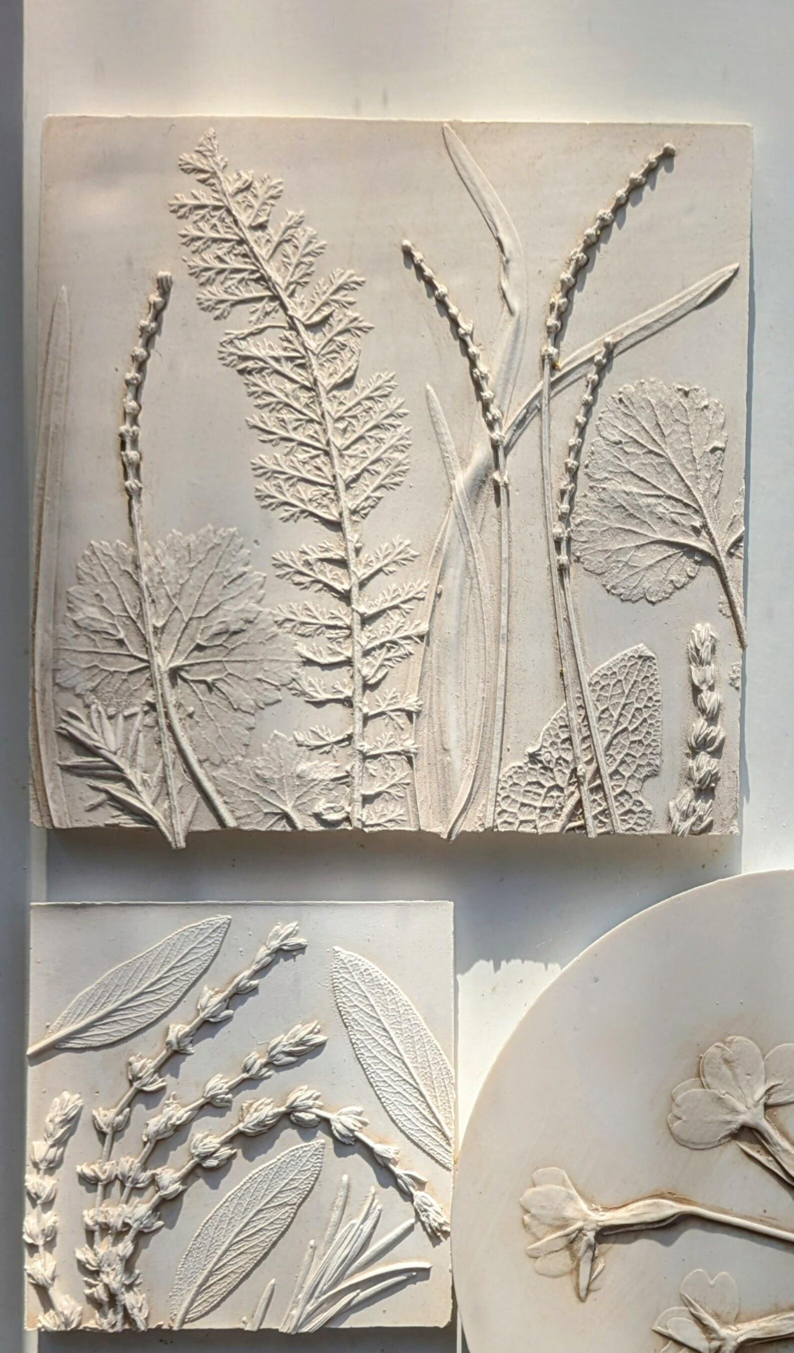 Cornish Botanical Plaster Cast Tile, Garden Flowers, Herbs, Botanical ...