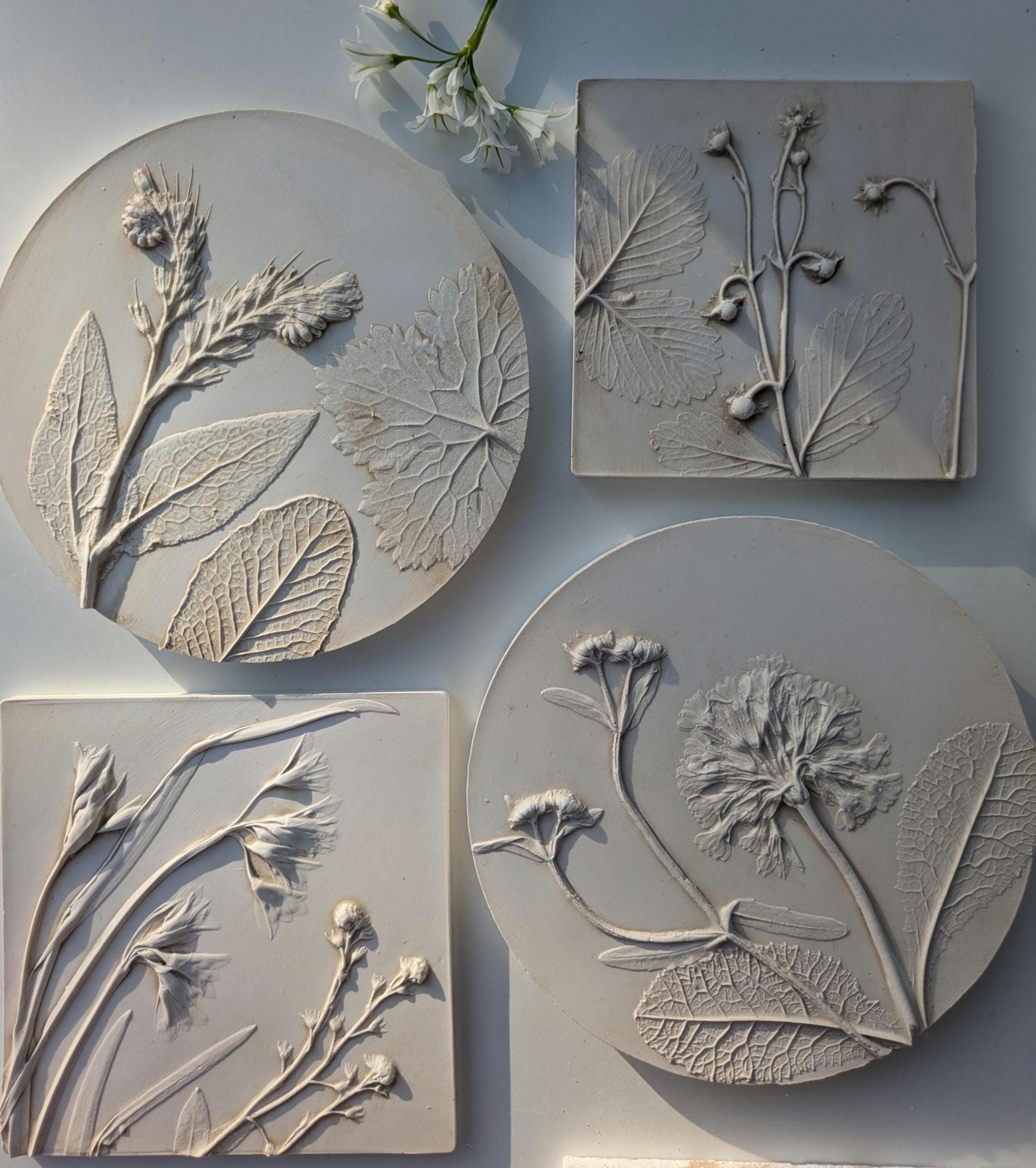 Cornish Botanical Plaster Tile, Comfrey, Primrose, Geranium Leaf Tile ...