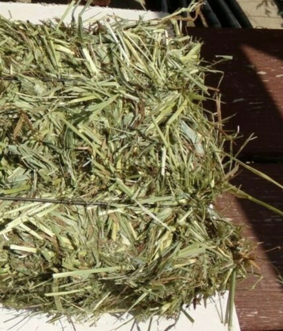 Fresh Timothy hay 6 small compact bales 18lbs | Etsy