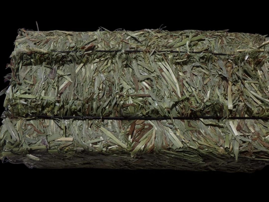 Orchard Grass Hay New Crop 1 Bale = 2.5 Pounds Order as Many as You ...