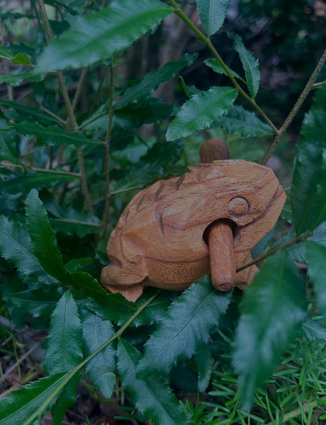 Toad Instrument - Etsy