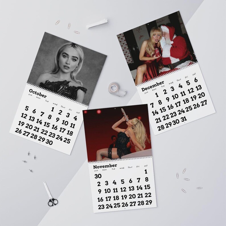 2025 Wall Calendar Sabrina Carpenter Singer Music Fan Christmas Gift ...