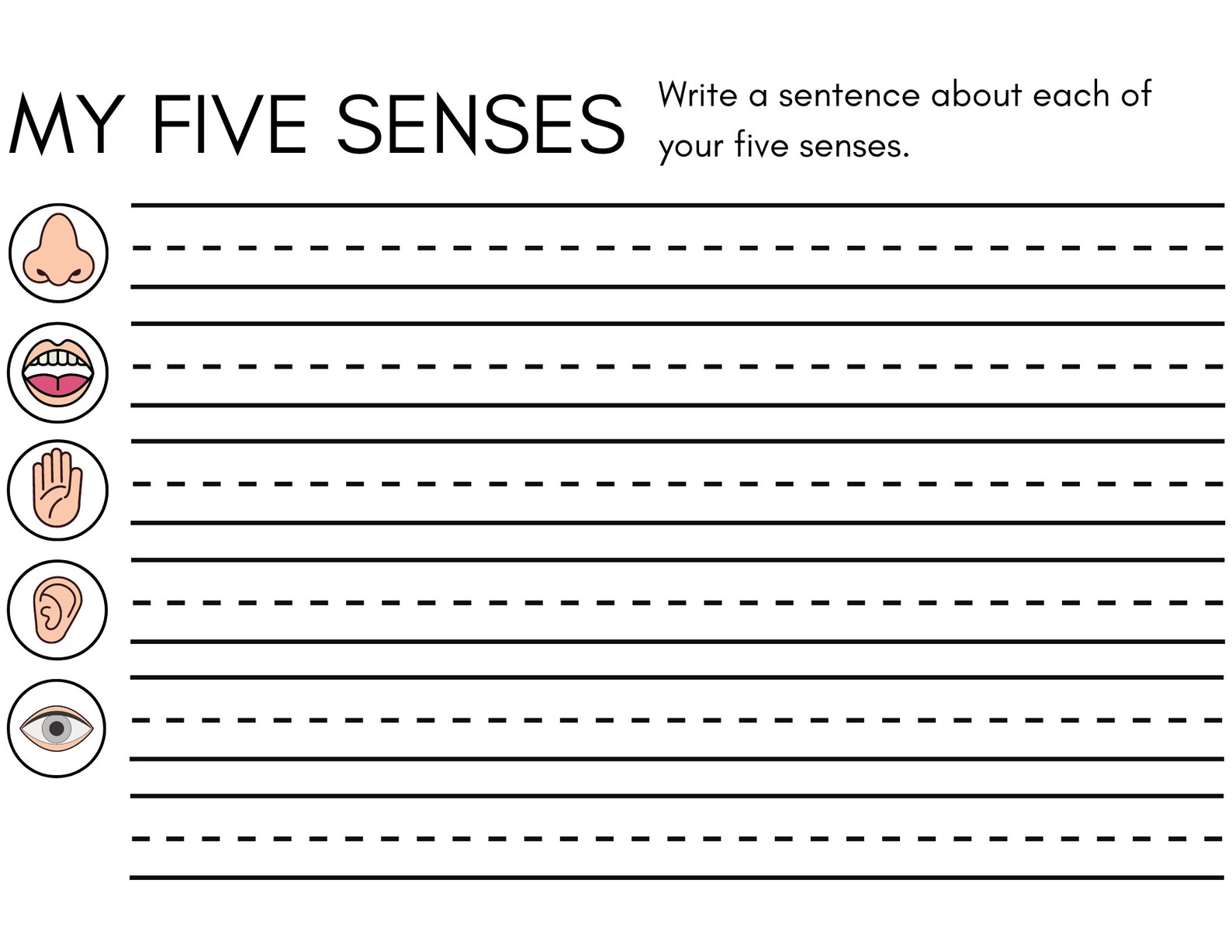 Five Senses Worksheet - Etsy